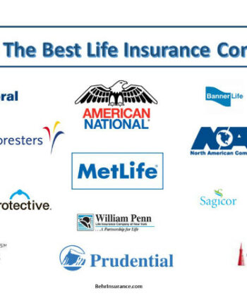 Team Members – Bob Insurance